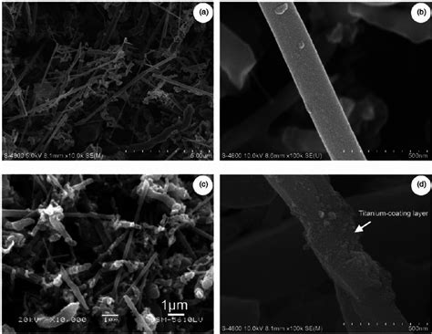 Sem Photographs Of The Original Sicw A B And Ti Coated Sicw C D Download Scientific