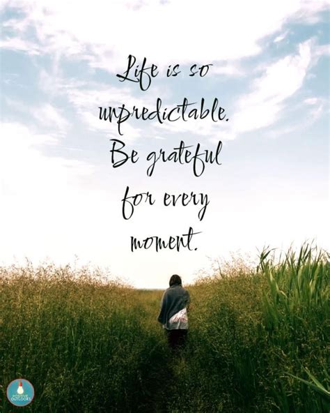 Walk Beside The Journey Seekers Extend A Hand Embrace The Moments