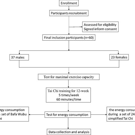 Typical Pictures Of Tai Chi Yuttari Exercise Sitting Position Pattern