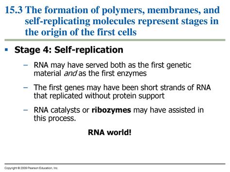 Tracing Evolutionary History Ppt Download