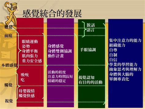 認識感覺統合