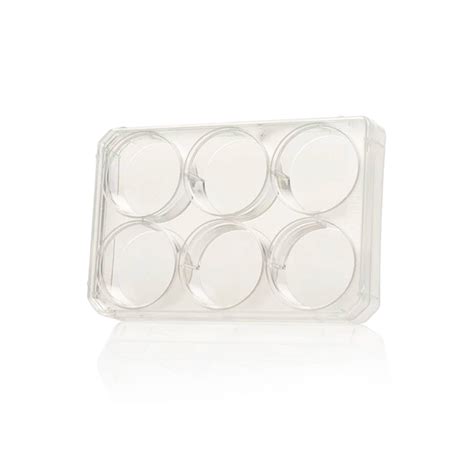Placas Para Cultivo Celular Con Tapa 6 Pozos Fondo Plano La Casa