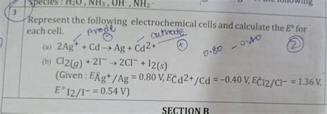 Represent The Following Electrochemical Cells And Calculate The E∘ For Ea