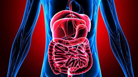 Mayo Clinic Experts To Discuss Recent Advances In Gastroenterology At