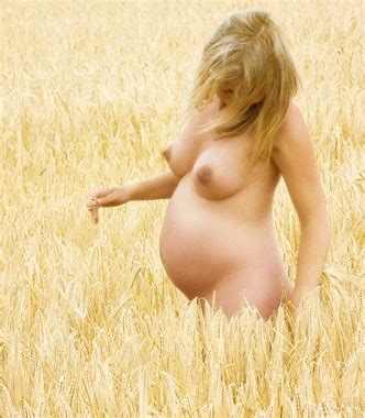 Model Society Galleries