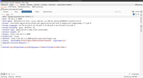 BurpSuite 验证码识别 Yongz丶