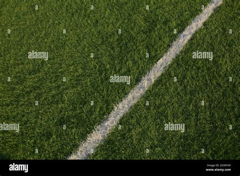 Field Of Fresh Green Grass Texture As A Background Top Close Up View