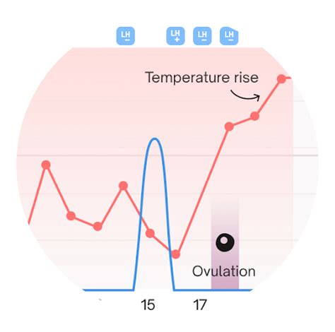 How Do Ovulation Test Results Influence Ovulation Detection Customer