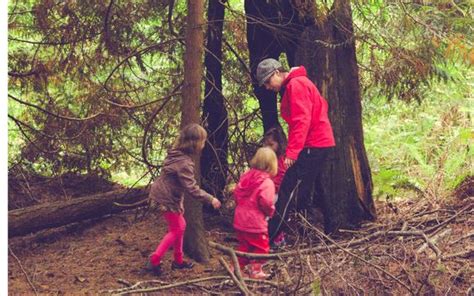 Montessori And Forest Preschool Program By Precious Seeds Montessori
