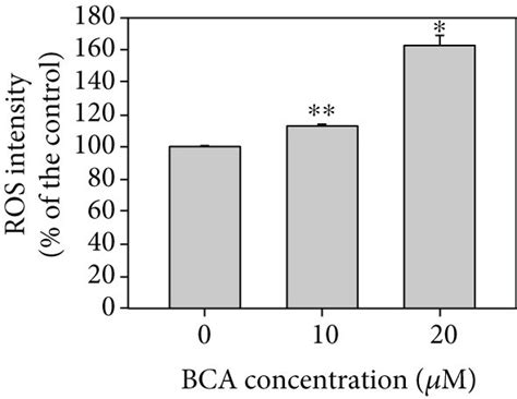 Measurement Of Ros Intensity In A E A498 And C G Achn Cells Download Scientific Diagram