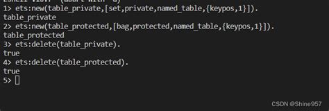 Erlang Ets与dets入门erlang Dets Csdn博客