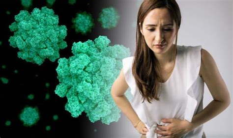 Norovirus Symptoms Difference Between Food Poisoning And Norovirus
