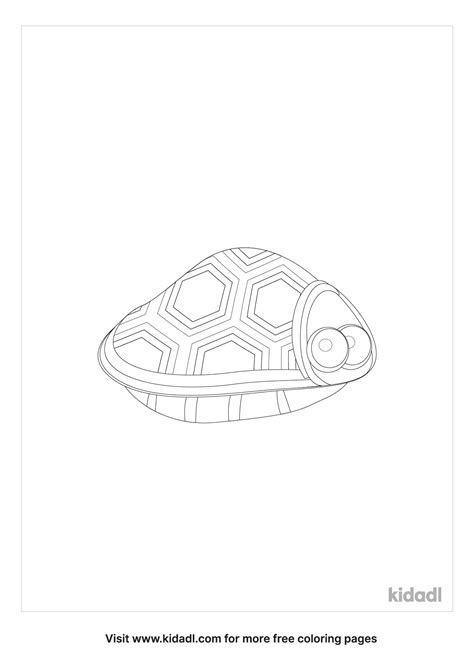 Turtle Shell Coloring Page