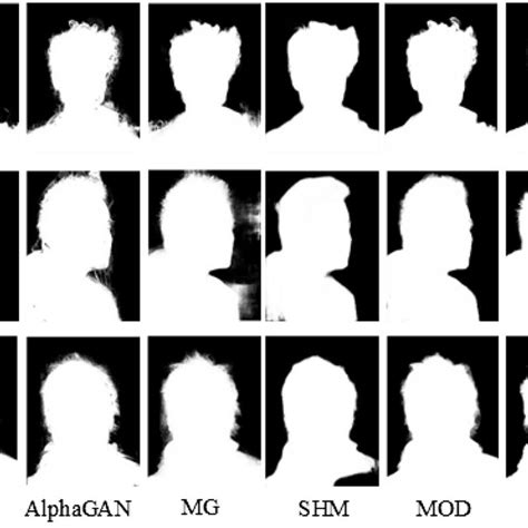 Visual Comparisons With Trimap Fake On Apm1200 Download Scientific Diagram