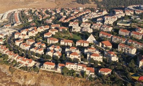 The Settlement Division