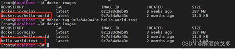 Docker的安装及镜像、容器的常用操作安装docker并运行镜像查看容器程序端口 Csdn博客