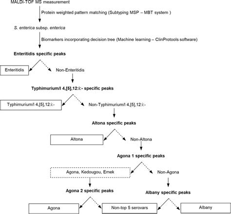 The Maldi Tof Ms Based Scheme For Nts Serovar Classification And Download Scientific Diagram
