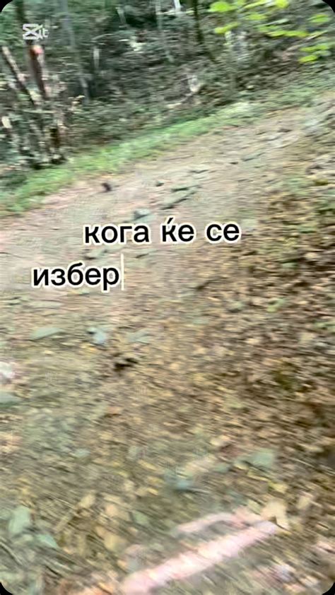 Angjela Aleksandrovska Комфорт зоната е пријатна но таму не растеш Сè што посакуваш