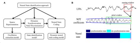 Figure 1 From Dynamic Neural State Identification In Deep Brain Local