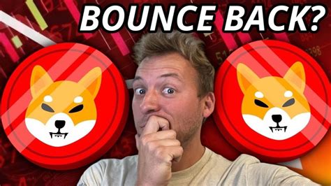 Shiba Inu Will Shib Price Bounce Back Youtube