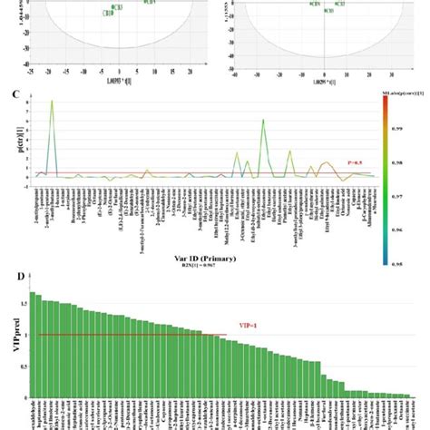 The Number Of Volatile Compounds In Different Baijiu Samples Different