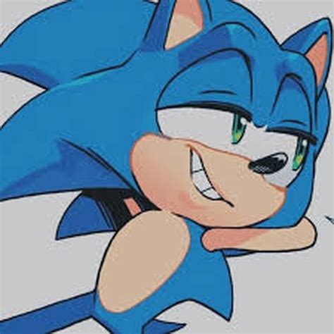 Sonic Idw Is The Best Sonic Fandom