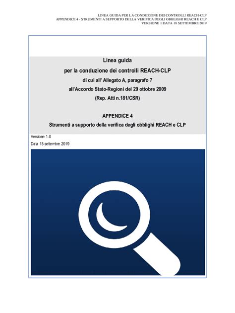 Fillable Online Linee Guida Per La Conduzione Dei Controlli REACh CLP