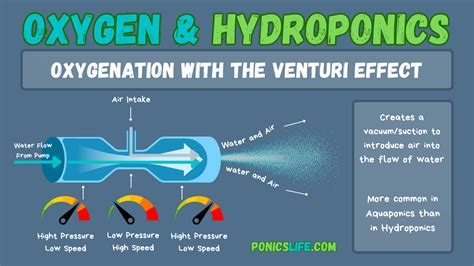 Oxygen And Hydroponics How To Oxygenate Your System