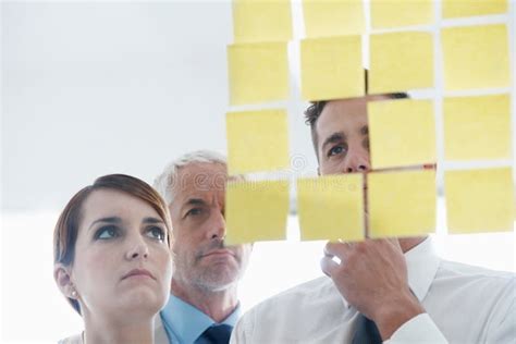 Bringing Their Ideas To The Forefront Coworkers Arranging Sticky Notes