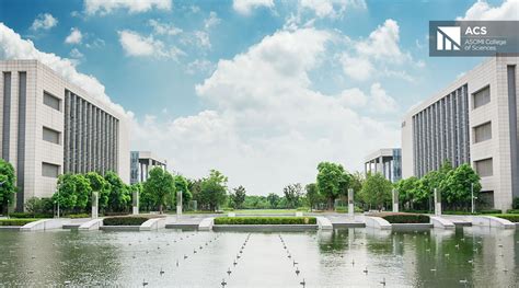 Sustainability In Higher Education Acs