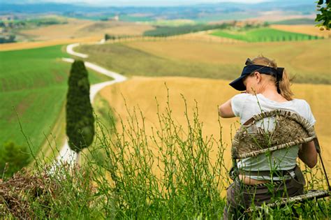 옴 자 Siting와 토스카 프리 이탈리아 유럽에서에서 즐기는 고위 여자의 뒷면 경관에 대한 스톡 사진 및 기타 이미지 경관