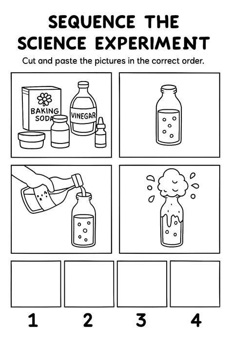 Sequence The Science Experiment Worksheet Download And Print Now