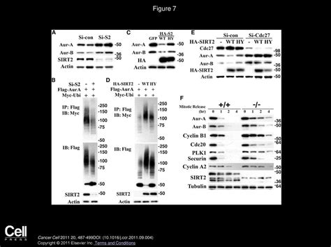 Volume 20 Issue 4 Pages October 2011 Ppt Download