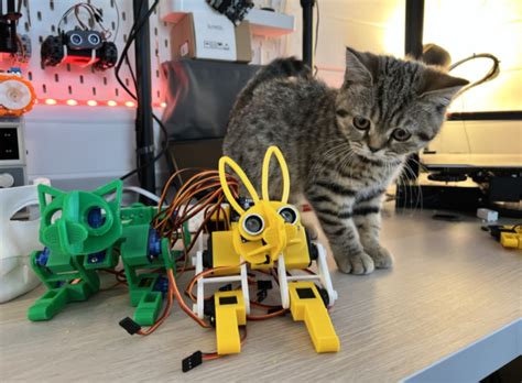 Kevin Mcaleer Interview Master Of Robotics — Raspberry Pi Official Magazine