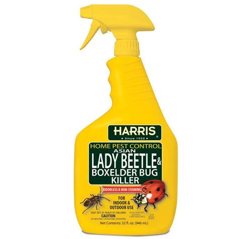 Harris 32 Oz Asian Lady Beetle And Box Elder Bug Killer Hbxa 32 The Home Depot Box Elder