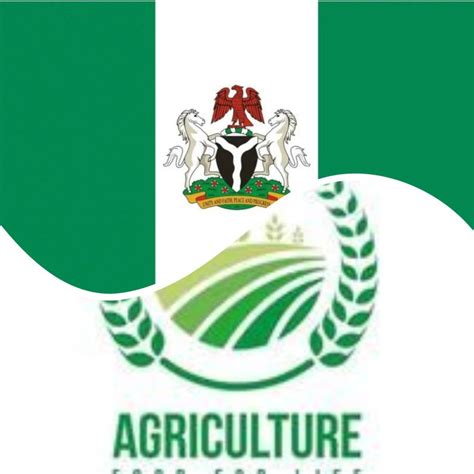 Pepper Commodity Commoditytrading Commoditymarket Trader Agriculture Farmproduce Export