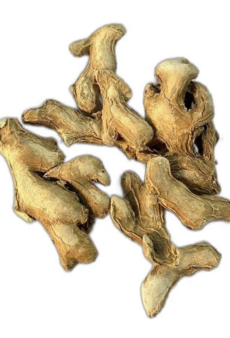 Dry Ginger Root Packaging Type Loose At Rs 170kg In Kalady Ernakulam