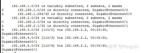 计算机网络 ospf路由协议配置实验 知乎