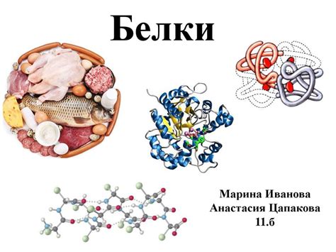 Белки. Строение - online presentation