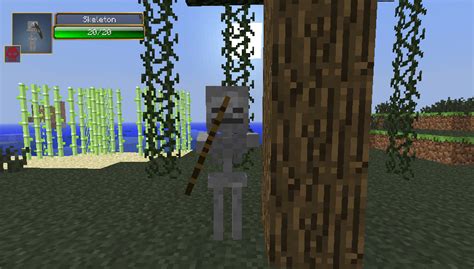 Skeleton Duncsweb Xtreme Wiki Fandom
