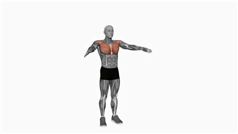 Mastering The Art Of Arm Circle Exercises A Beginner S Guide 1000