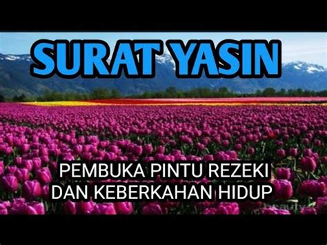 SURAT YASIN PEMBUKA PINTU REZEKI DAN KEBERKAHAN HIDUP YouTube