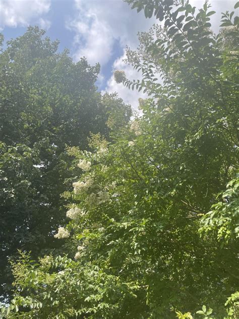 Sustainable Infrastructure Echo Lites