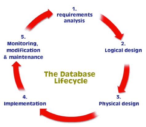 Database Life Cycle Design Stages Description