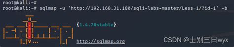 SQLmap使用教程图文教程非常详细从零基础入门到精通看完这一篇就够了 CSDN博客