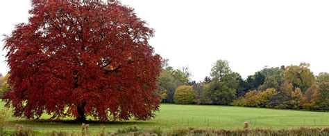 Exploring The Uks Best Public Gardens In Autumn