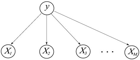 A Naïve Bayes Network The Features Are Conditionally Independent