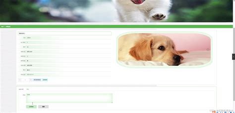 基于ssm的网上宠物交易管理系统源码开题网上宠物管理系统 Csdn博客