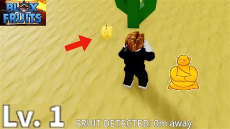 Trái Phật Tổ Blox Fruit 2025 Cách Thức Tỉnh Cách Lấy Nhận Acc Free