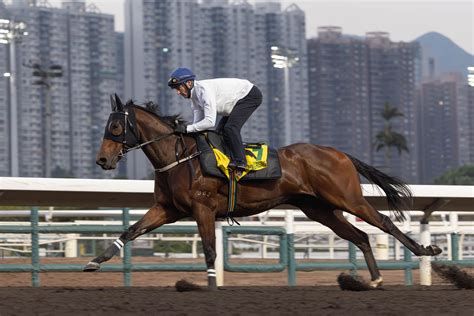 Hkir 2025 Ka Ying Rising And Romantic Warrior Revved And Ready